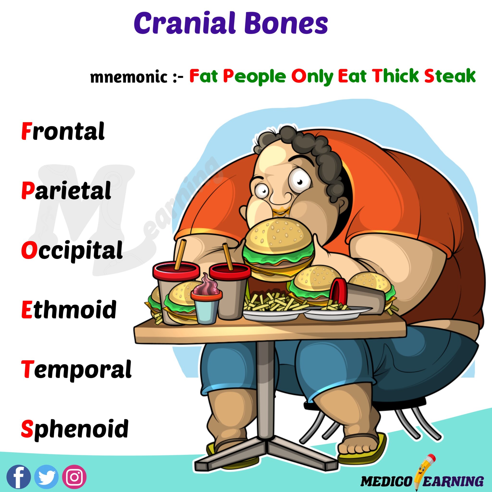 Cranial Bones Mnemonic MedicoLearning cranial-bones-mnemonic-medicolearning