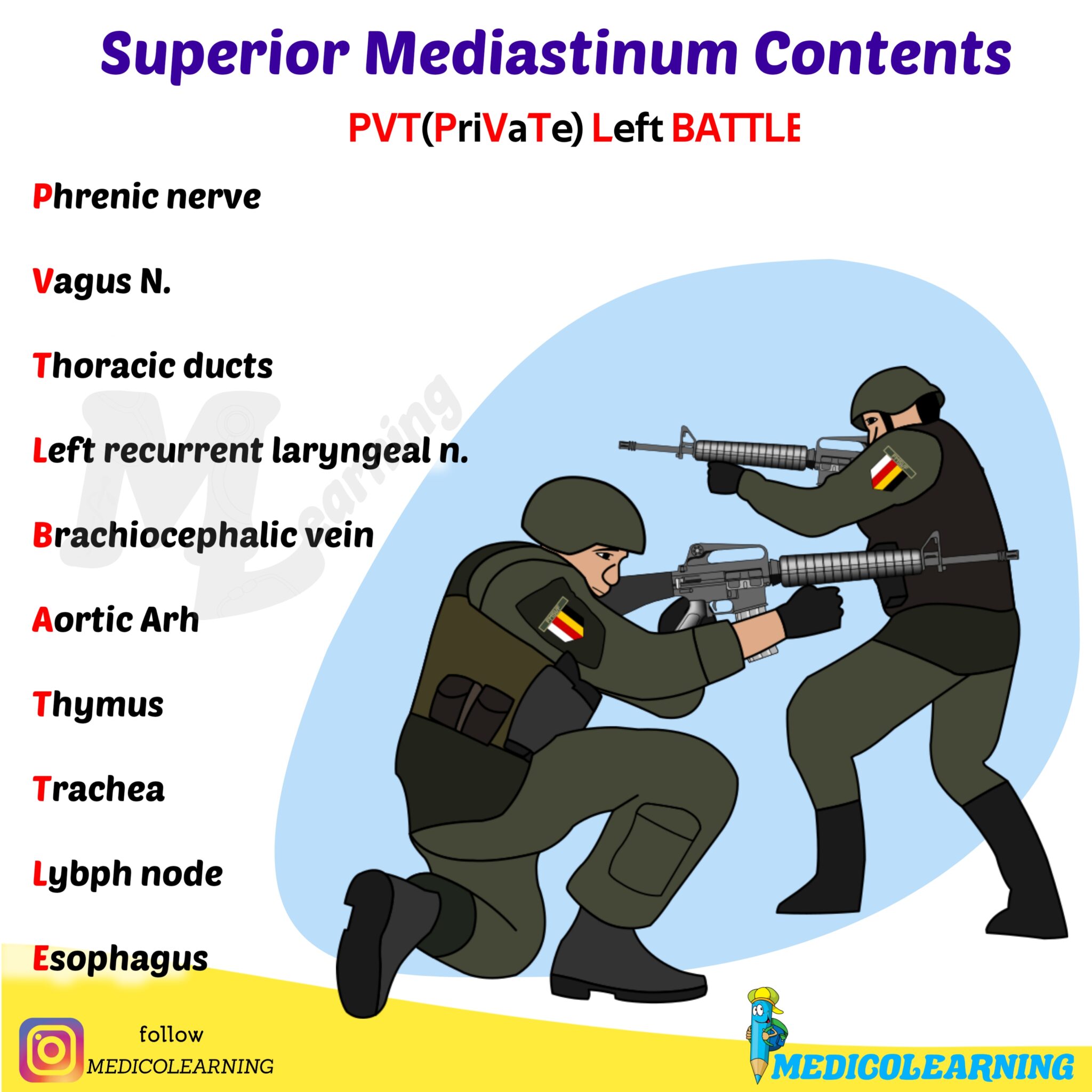 Superior Mediastinum Contents Mnemonic – MedicoLearning