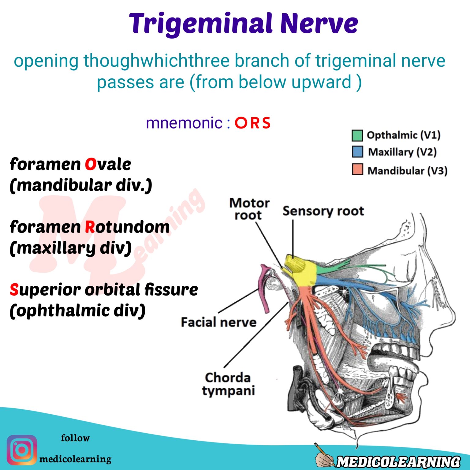 Trigemial Nerve mnemonic – MedicoLearning