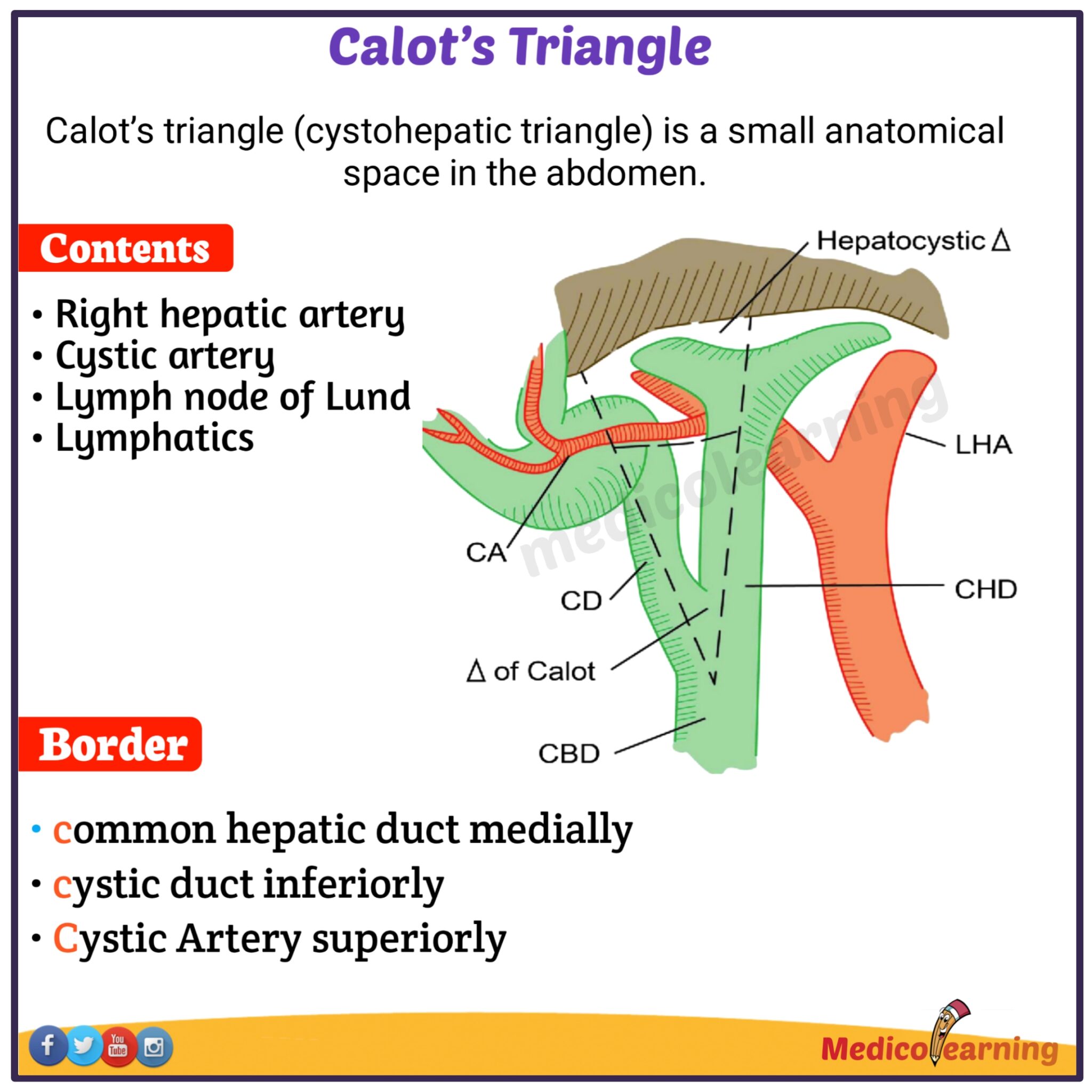 Calot s Triangle Boundaries Mnemonic MedicoLearning