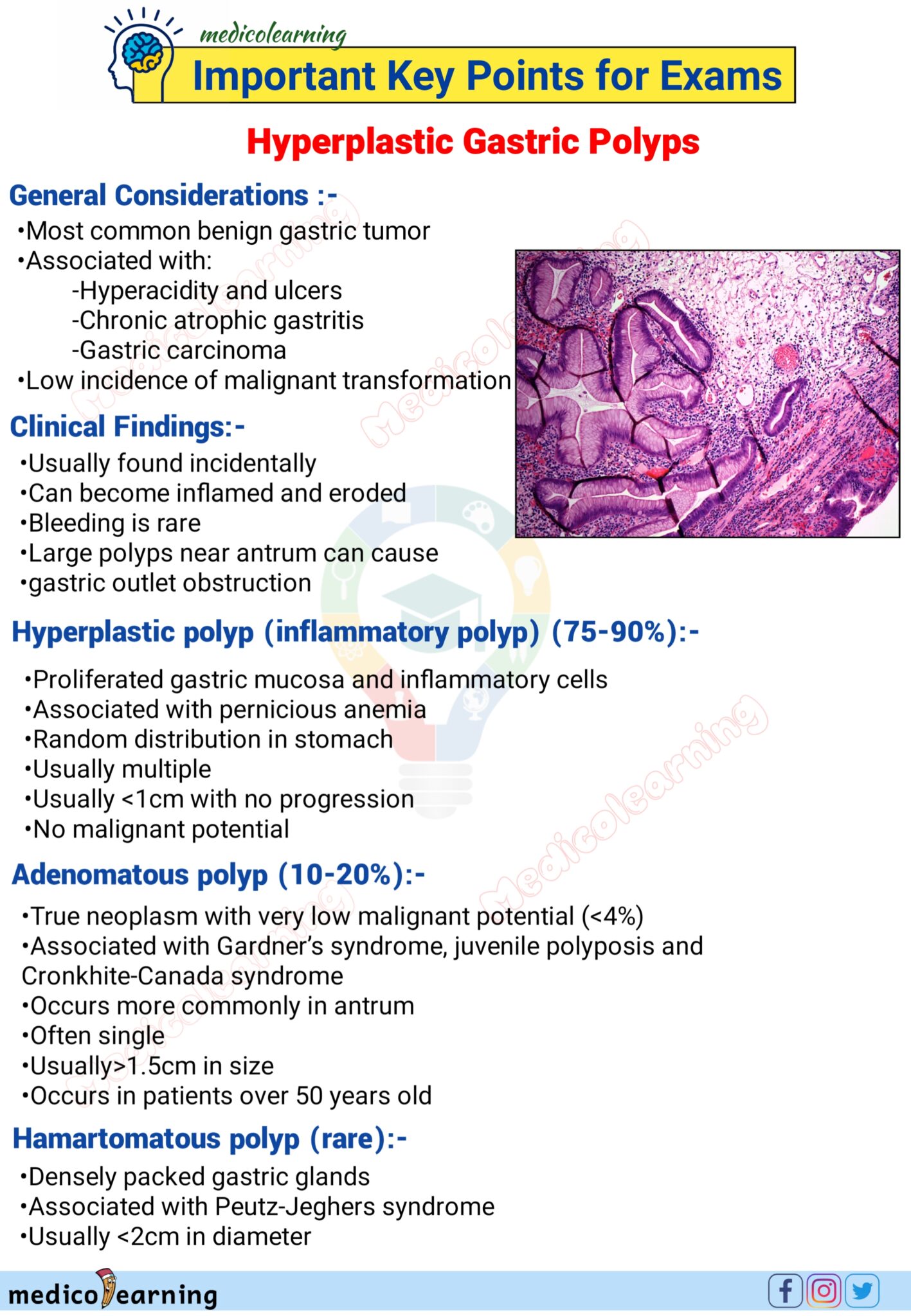 Hyperplastic Gastric Polyp – MedicoLearning