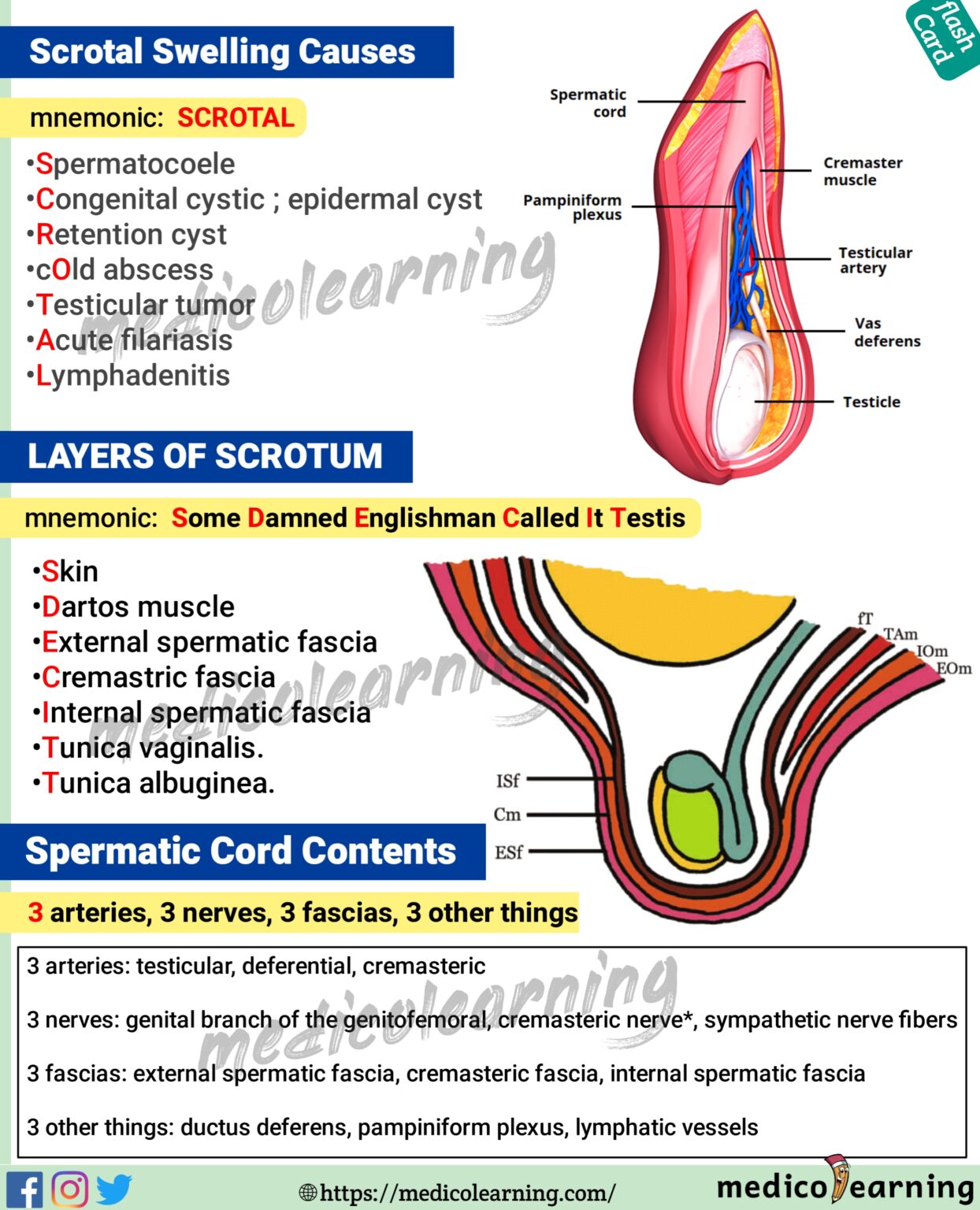 Scrotal Swelling Causes MedicoLearning