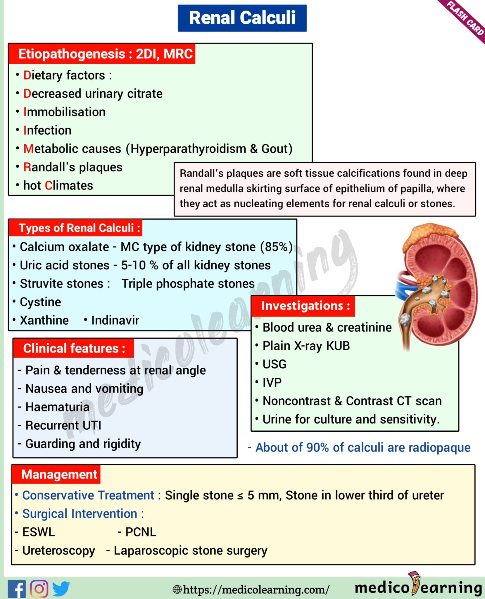 Renal Calculi MedicoLearning