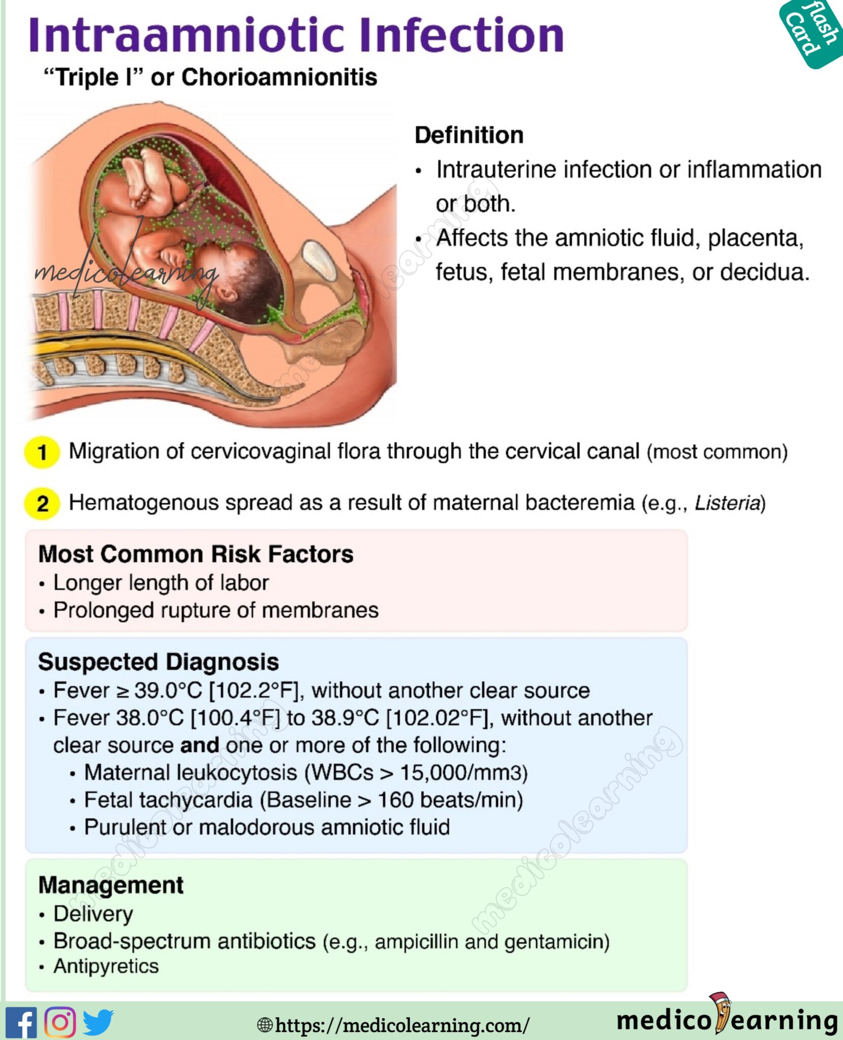 Intraamniotic Infection – MedicoLearning