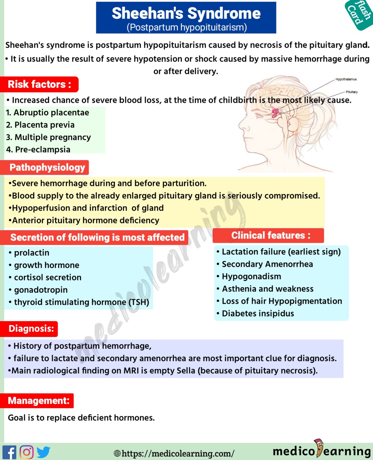 Sheehan’s syndrome – MedicoLearning