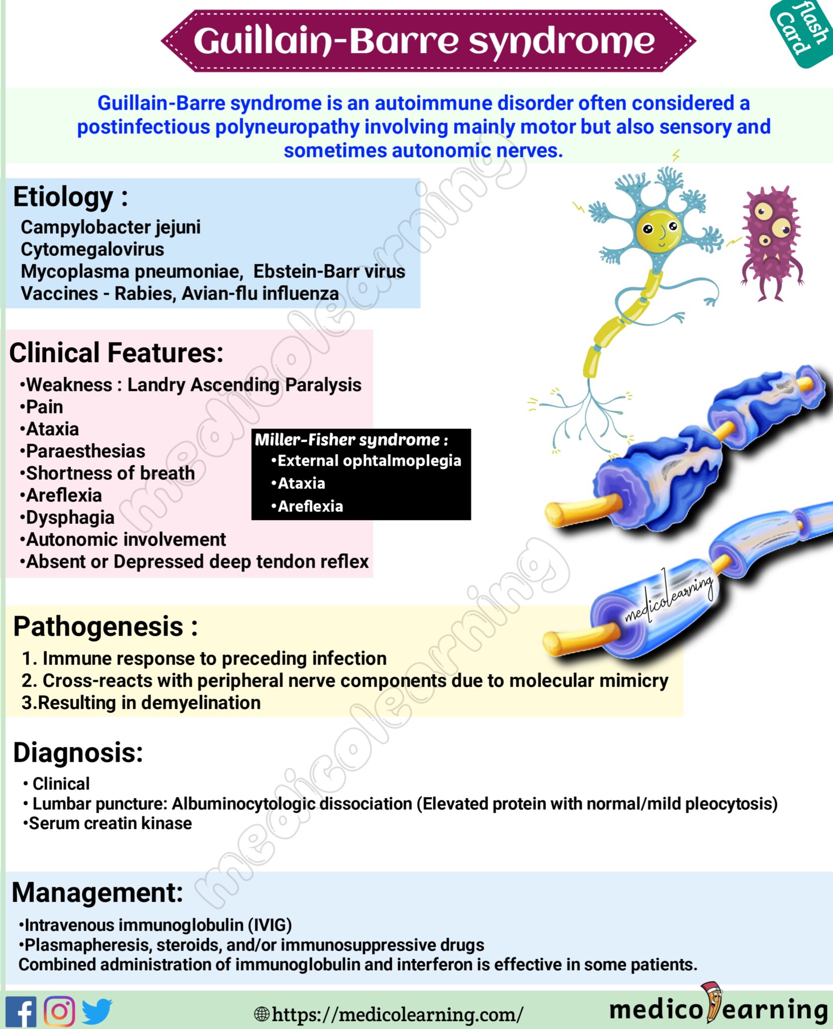 Guillain-Barré syndrome – MedicoLearning