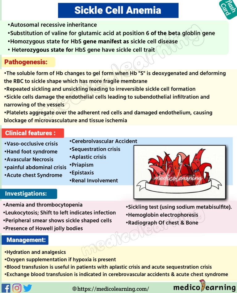 Sickle cell anemia – MedicoLearning