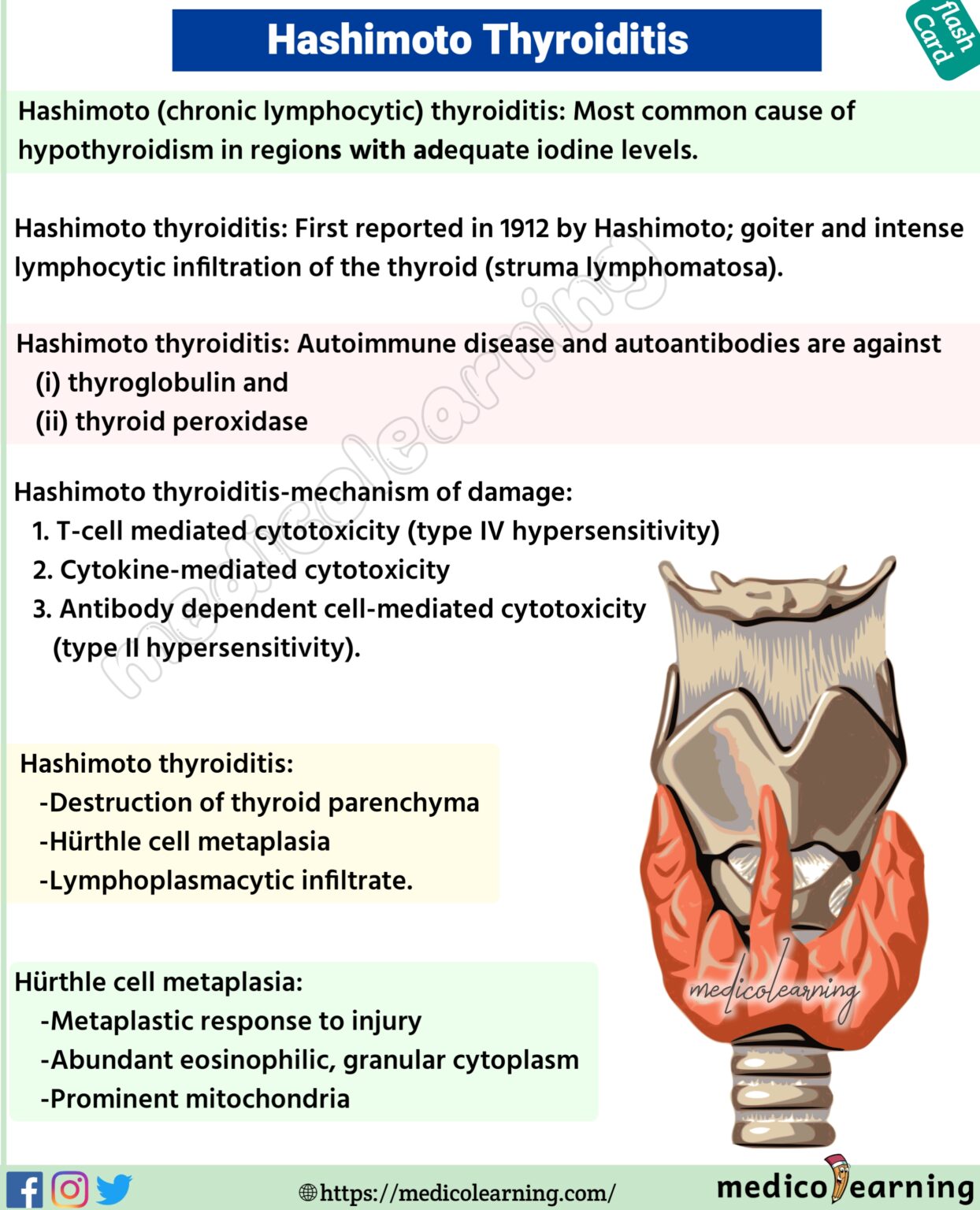 Hashimoto s Disease chronic Lymphocytic Thyroiditis MedicoLearning hashimoto-s-disease-chronic-lymphocytic-thyroiditis-medicolearning