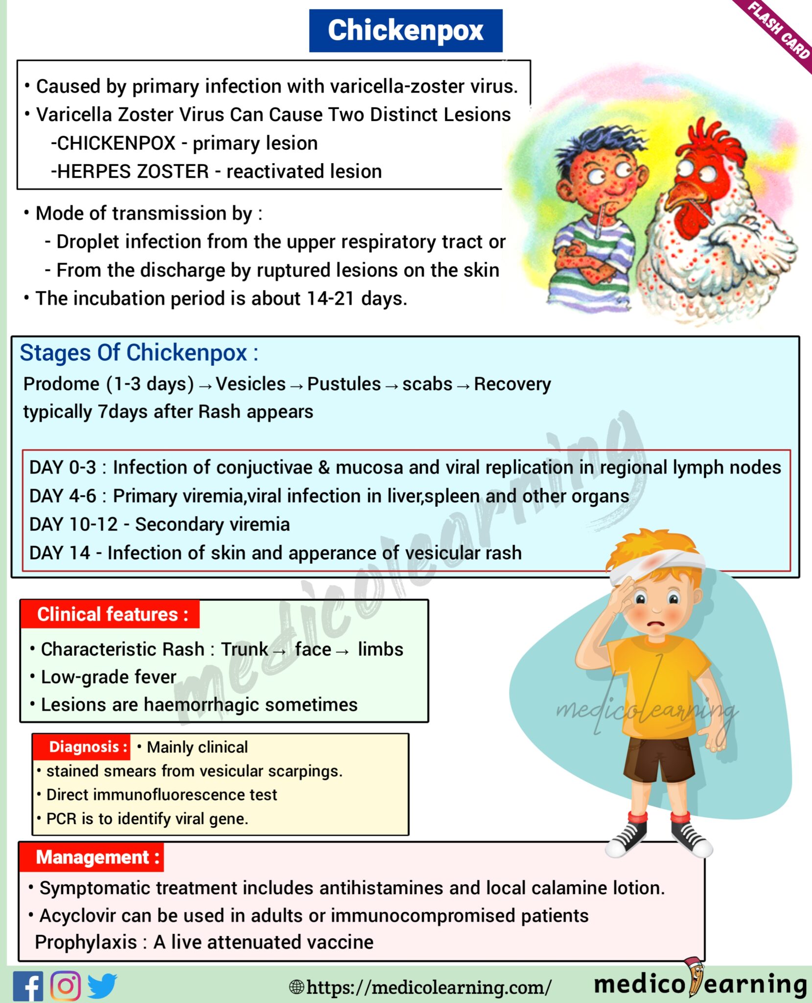 Chicken Pox Medicolearning