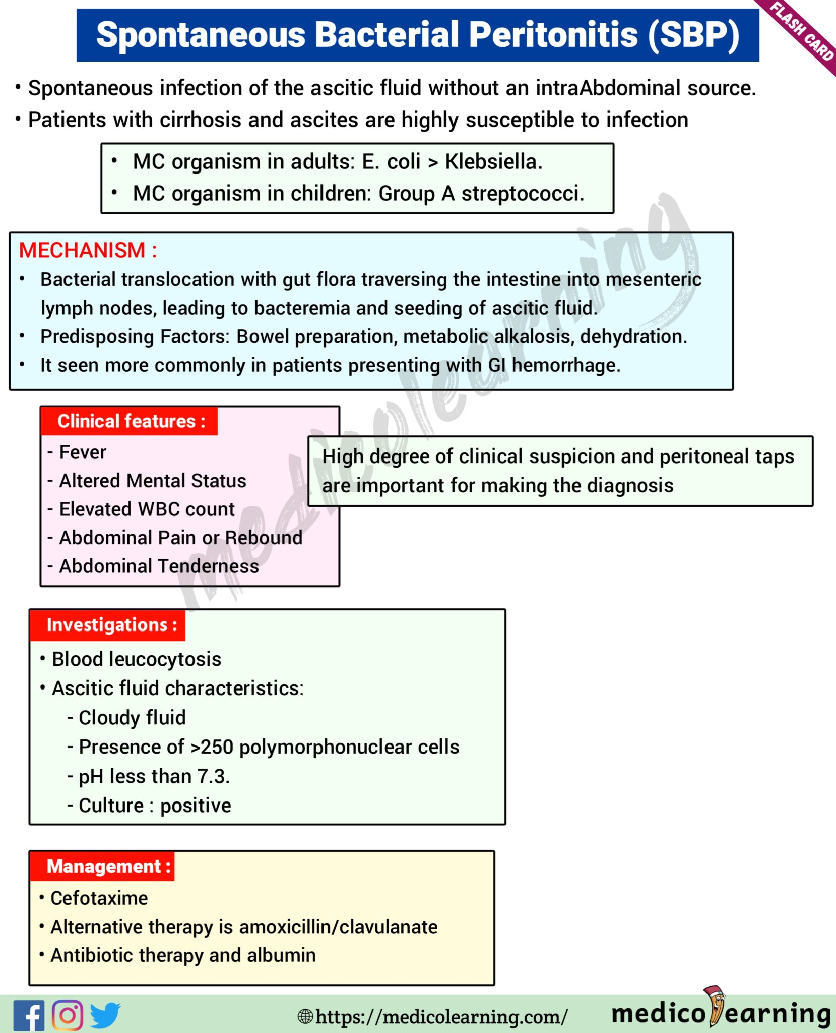 Spontaneous bacterial peritonitis – MedicoLearning