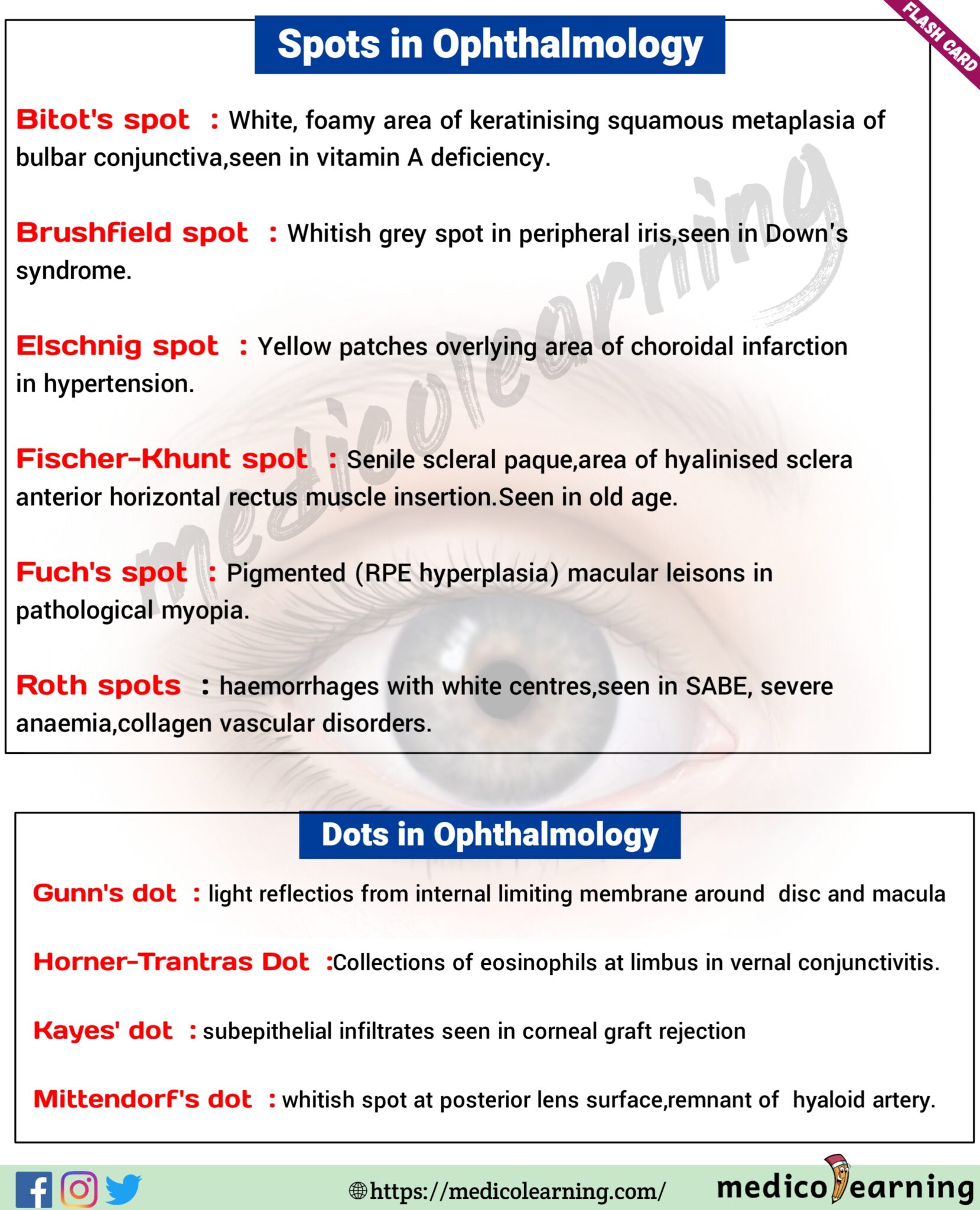 Spots & Dots in ophthalmology – MedicoLearning