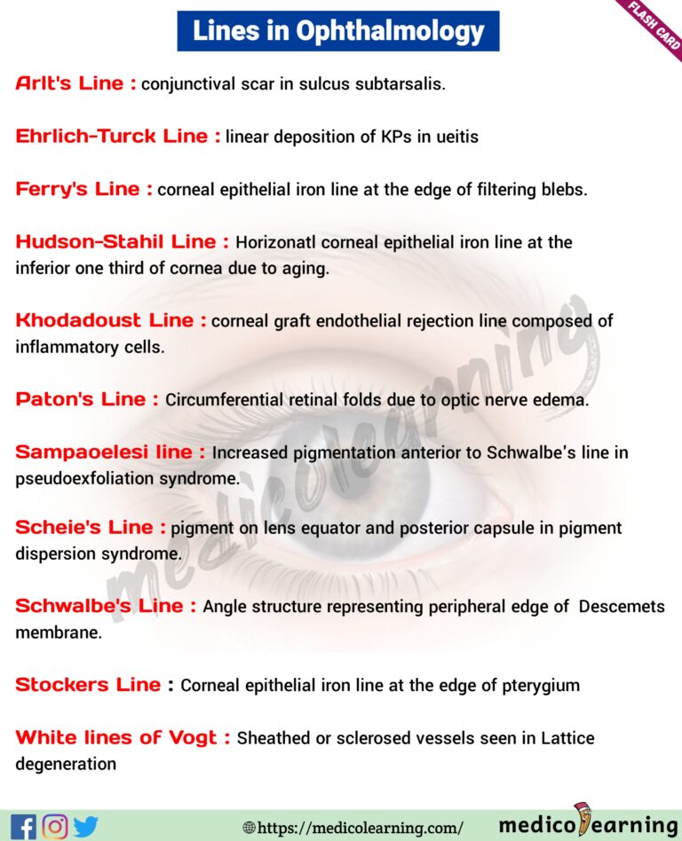Lines in ophthalmology – MedicoLearning