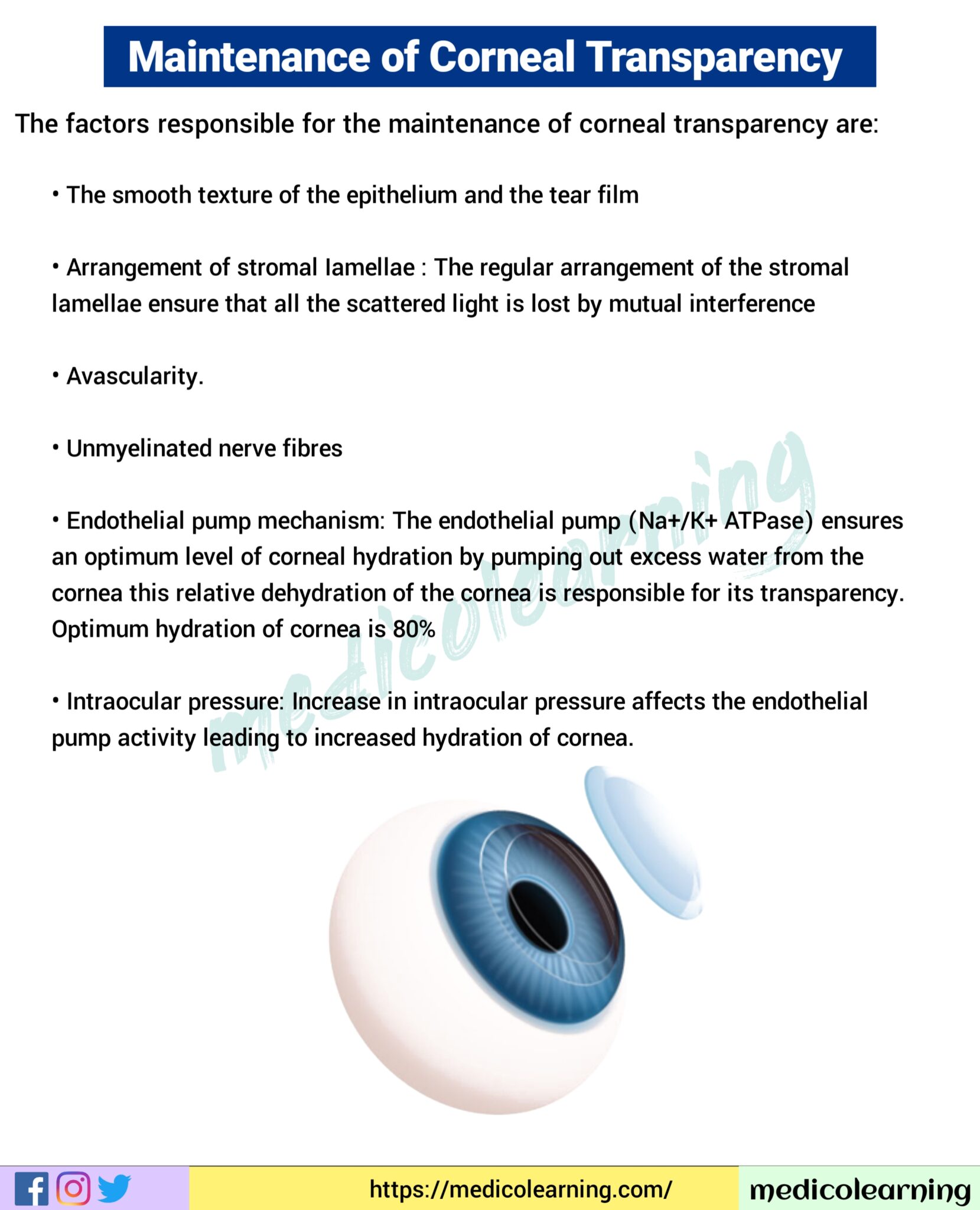 Maintenance of Corneal Transparency – MedicoLearning